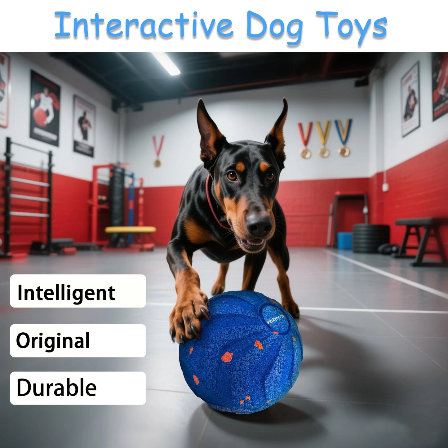 Large Interactive Dog Ball. – Shop Meow Market Store